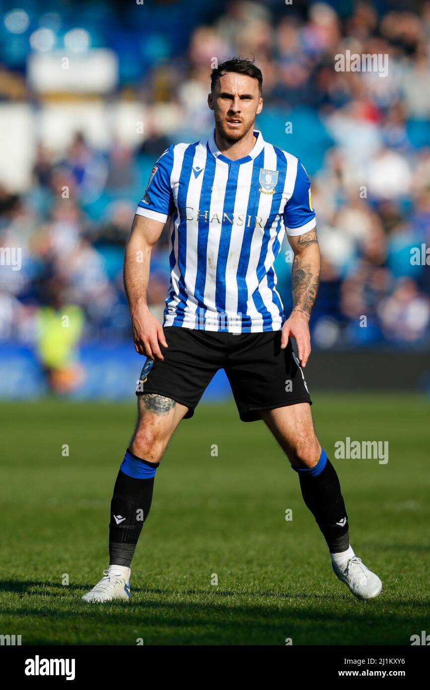 Lee Gregory #9 of Sheffield Wednesday Stock Photo - Alamy