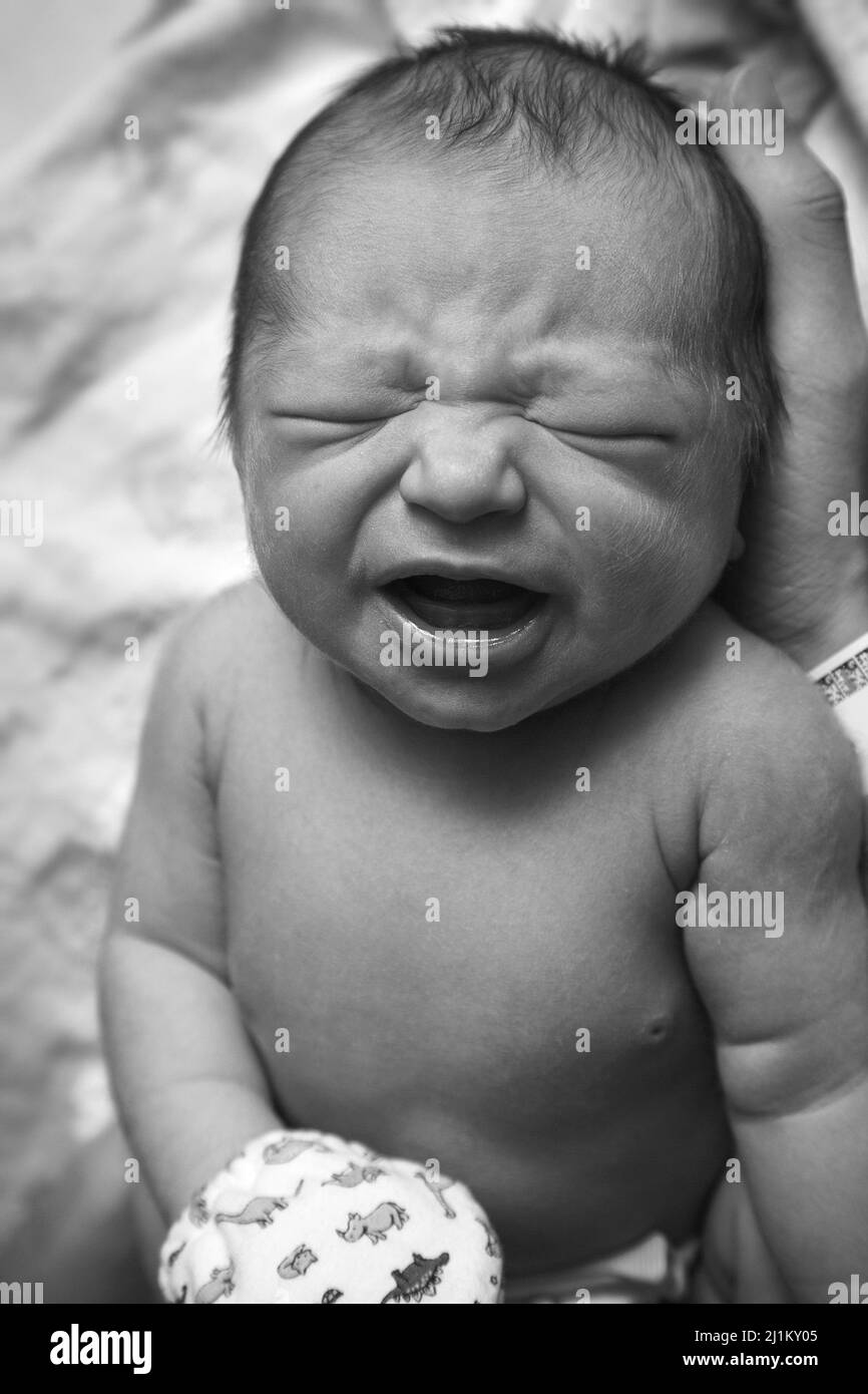 Newborn Baby only Hours Old in the Hospital Stock Photo - Alamy