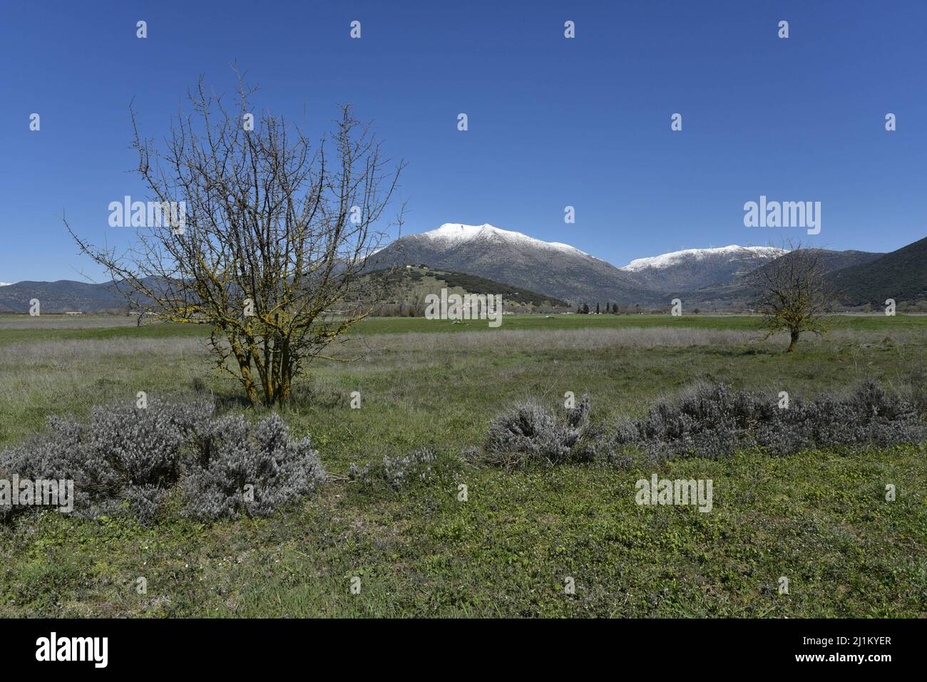 Battle of mantineia hi-res stock photography and images - Alamy