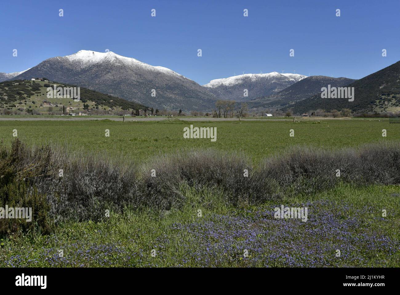Battle of mantineia hi-res stock photography and images - Alamy