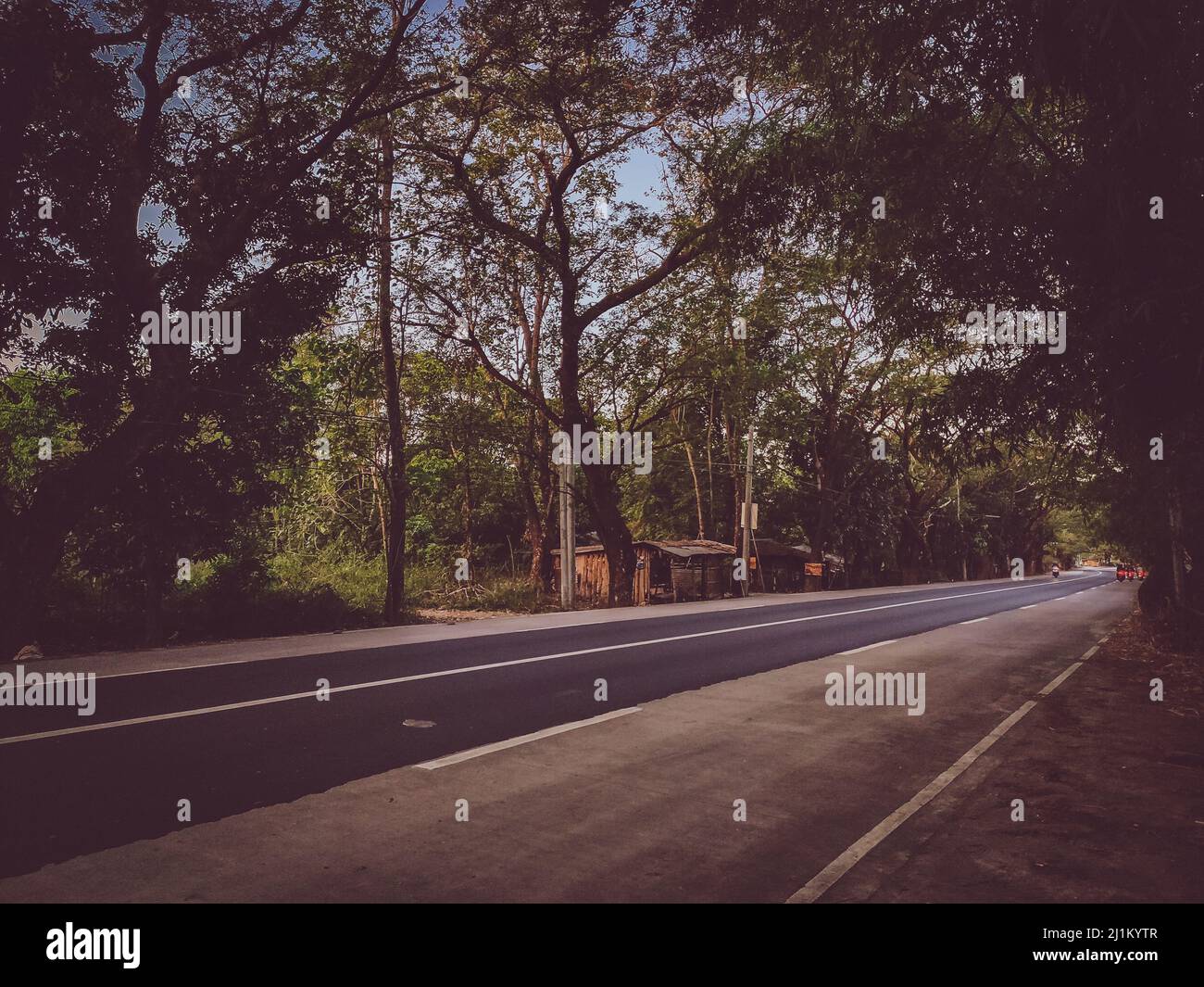 A beautiful view of an empty road with trees on a sunny day Stock Photo ...