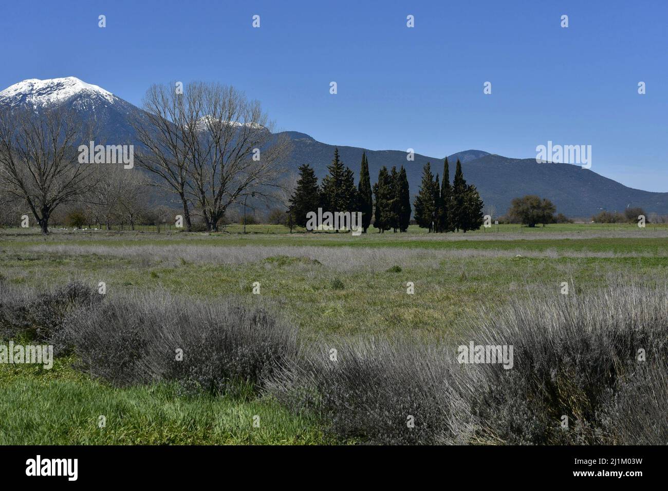 Battle of mantineia hi-res stock photography and images - Alamy