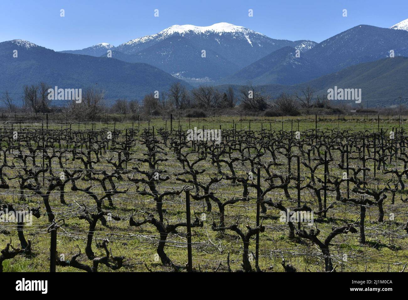 Battle of mantineia hi-res stock photography and images - Alamy