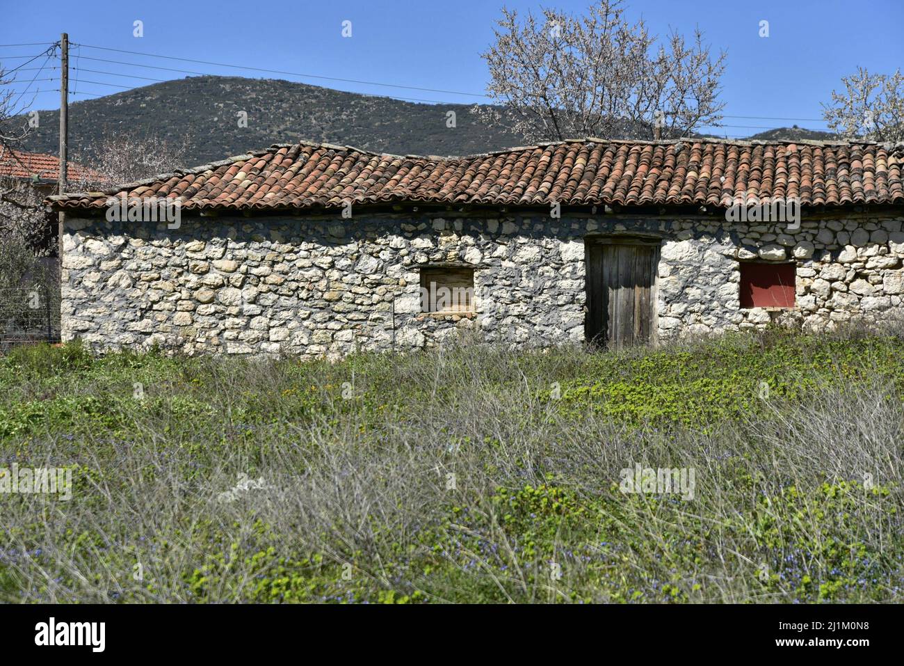 Rural landscape with view of an old abandoned stone house in the ...