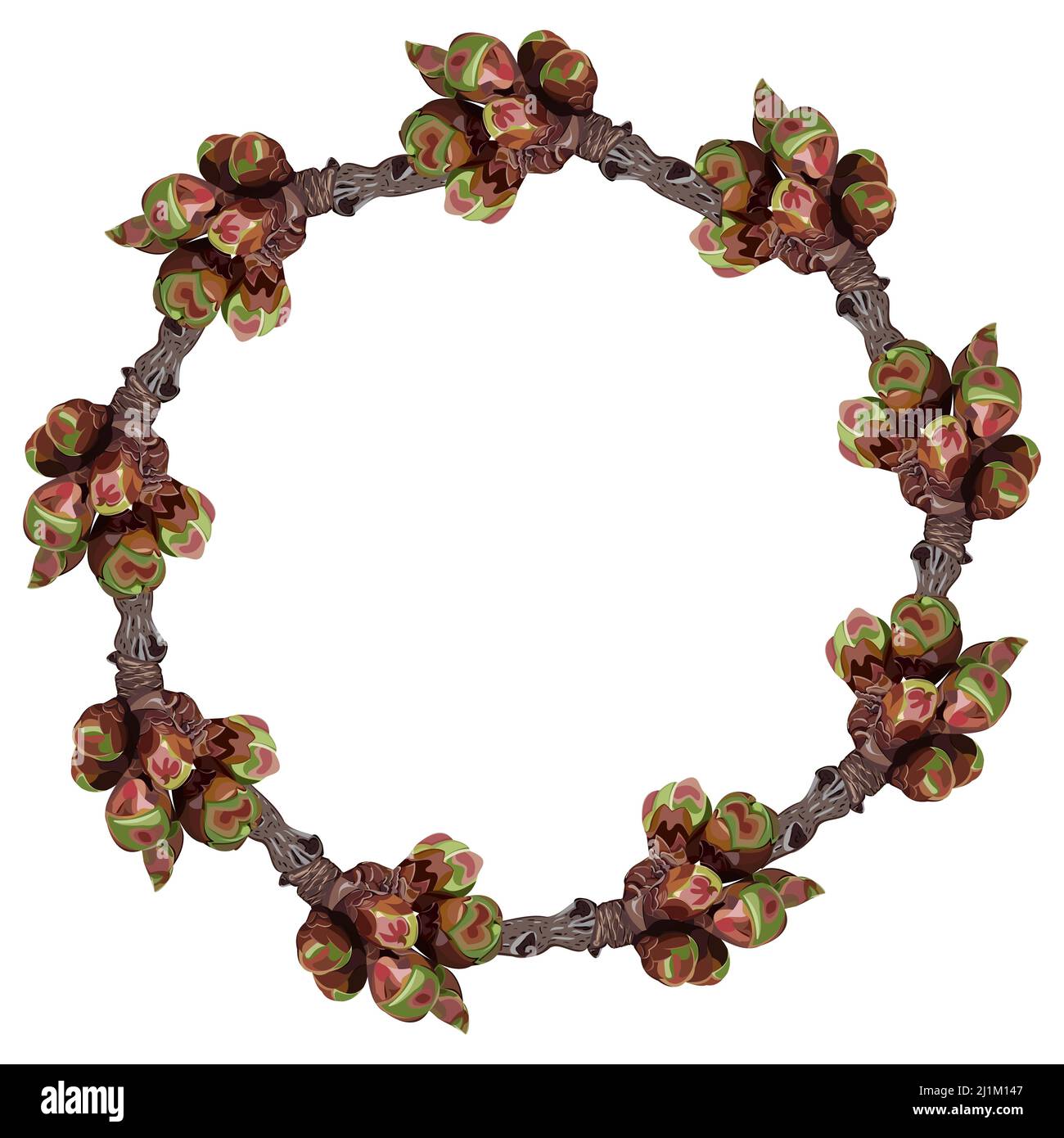 Ripening on the tree Stock Vector Images - Alamy