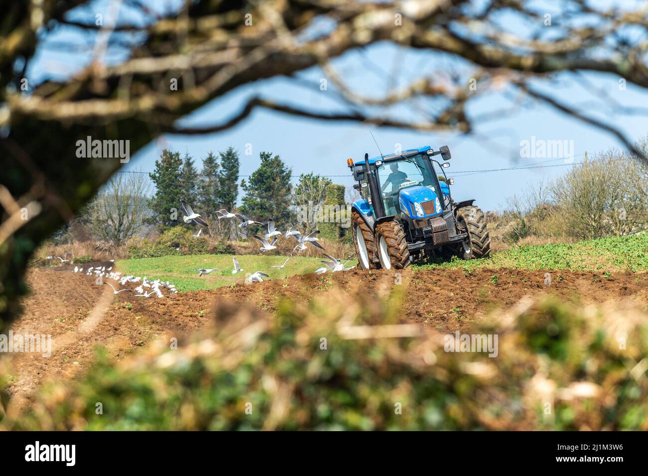 Fiskars 5 furrow plough hi-res stock photography and images - Alamy