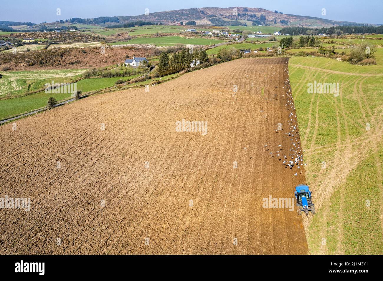 Reenascreena, West Cork, Ireland. 26th Mar, 2022. Reenascreena based ...