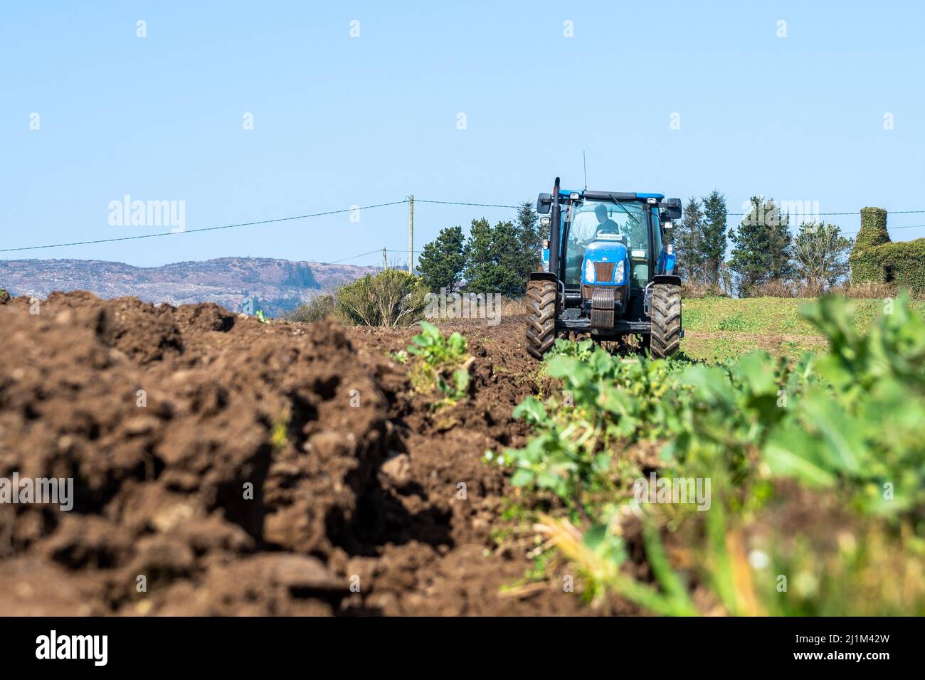 Reenascreena, West Cork, Ireland. 26th Mar, 2022. Reenascreena based ...