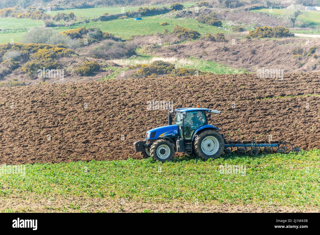 Reenascreena, West Cork, Ireland. 26th Mar, 2022. Reenascreena based ...