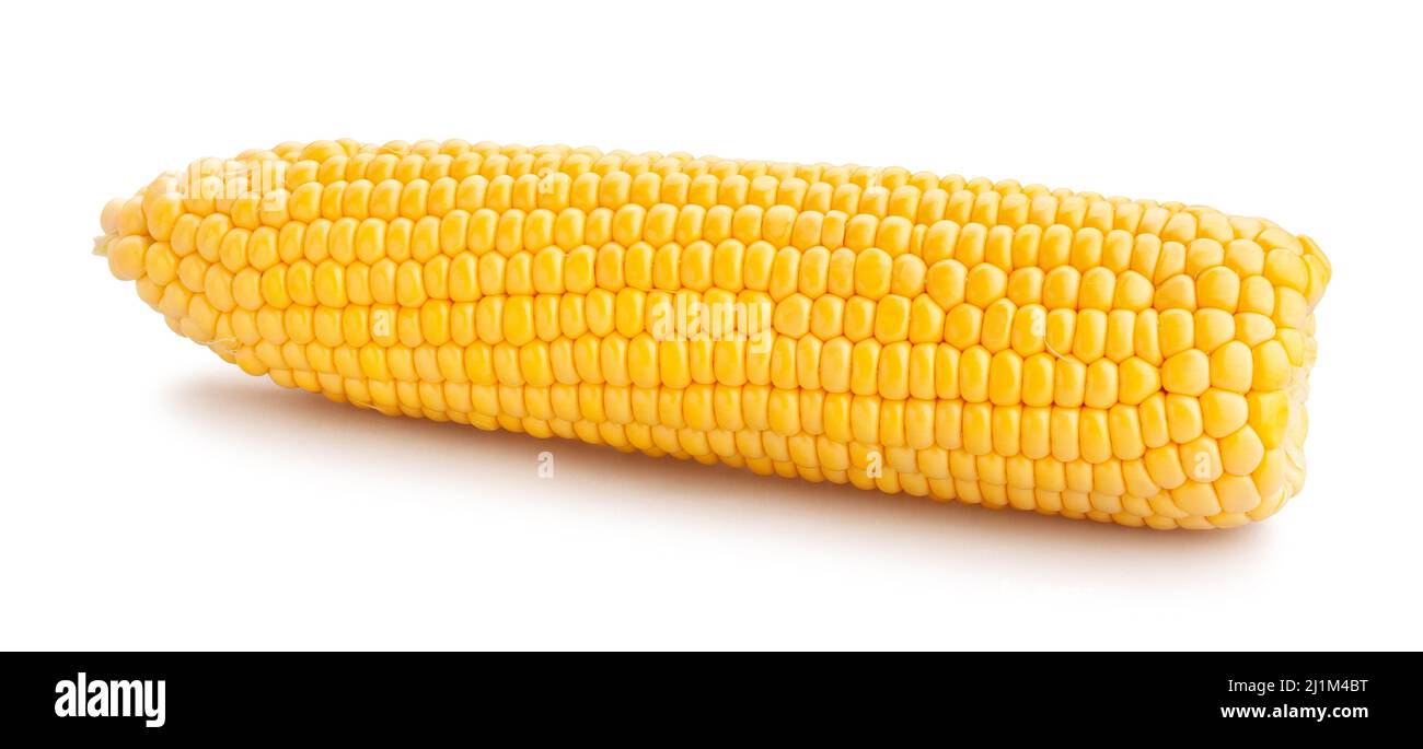 corn path isolated on white Stock Photo - Alamy