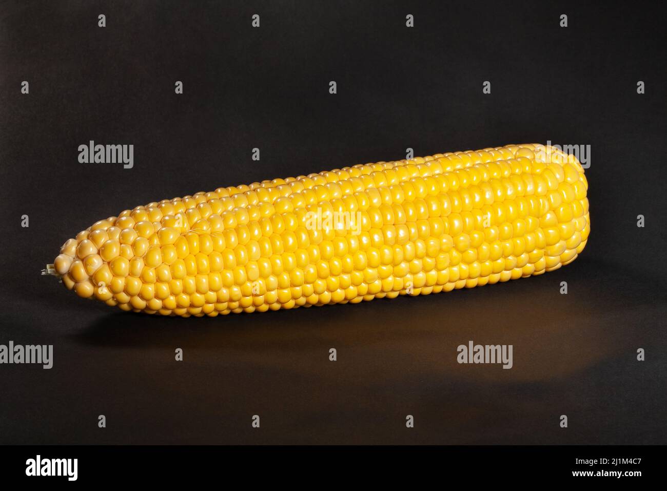 one corn on black background Stock Photo - Alamy