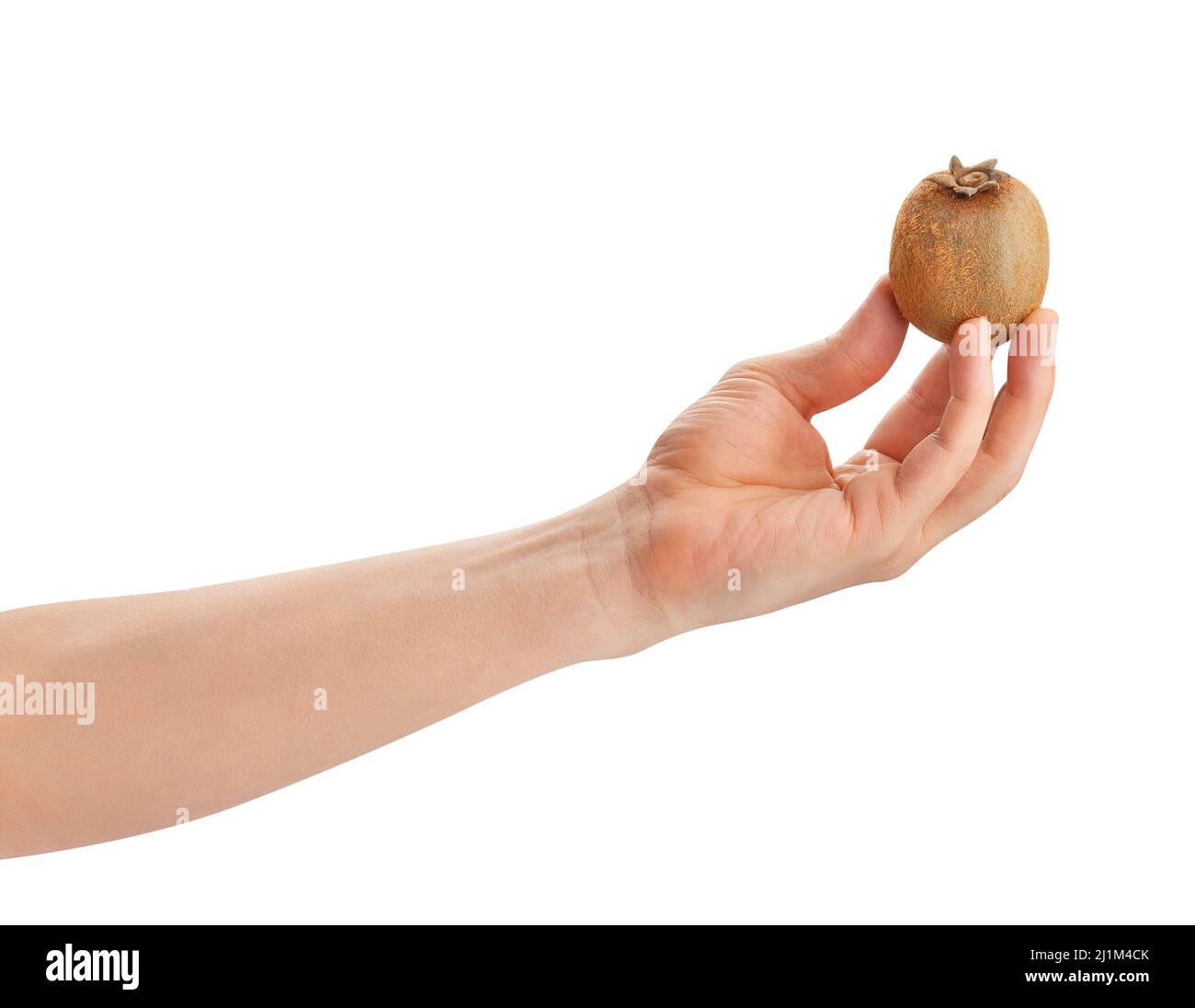 kiwi in hand path isolated on white Stock Photo - Alamy