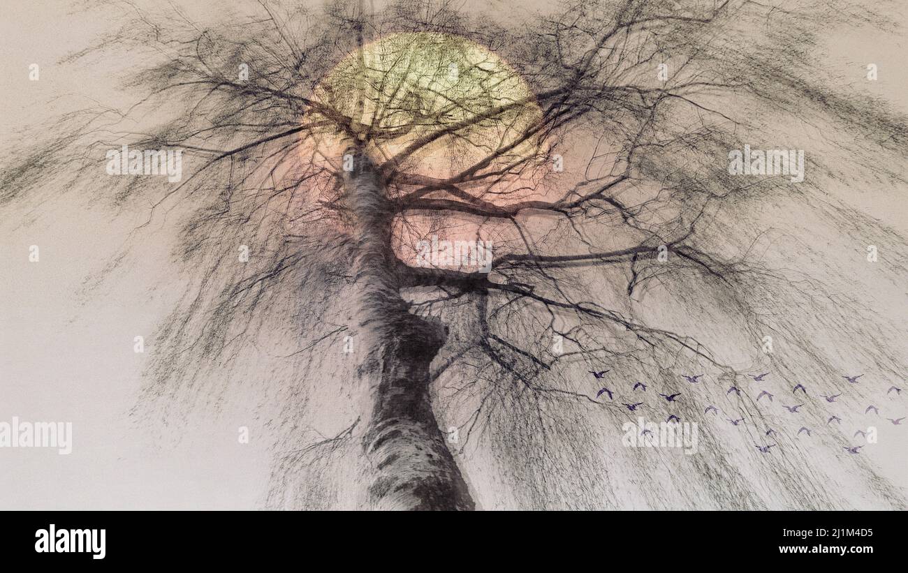 PHOTOGRAPHIC ART: As the sun sets Stock Photo - Alamy