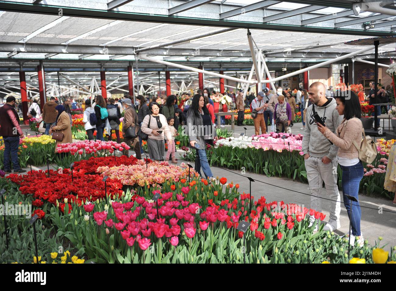 Lisse reopened hi-res stock photography and images - Alamy