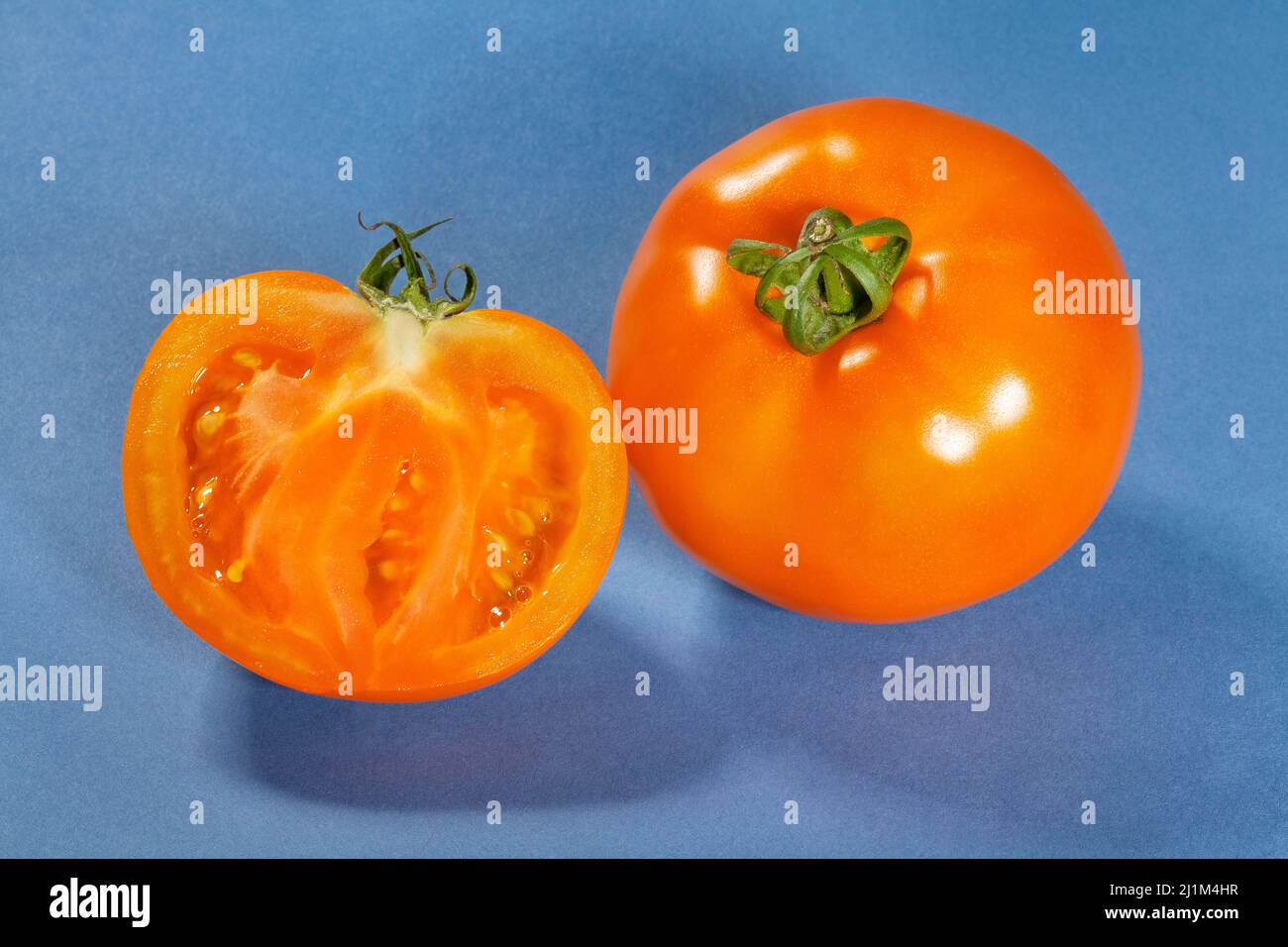 Blue tomato hi-res stock photography and images - Alamy