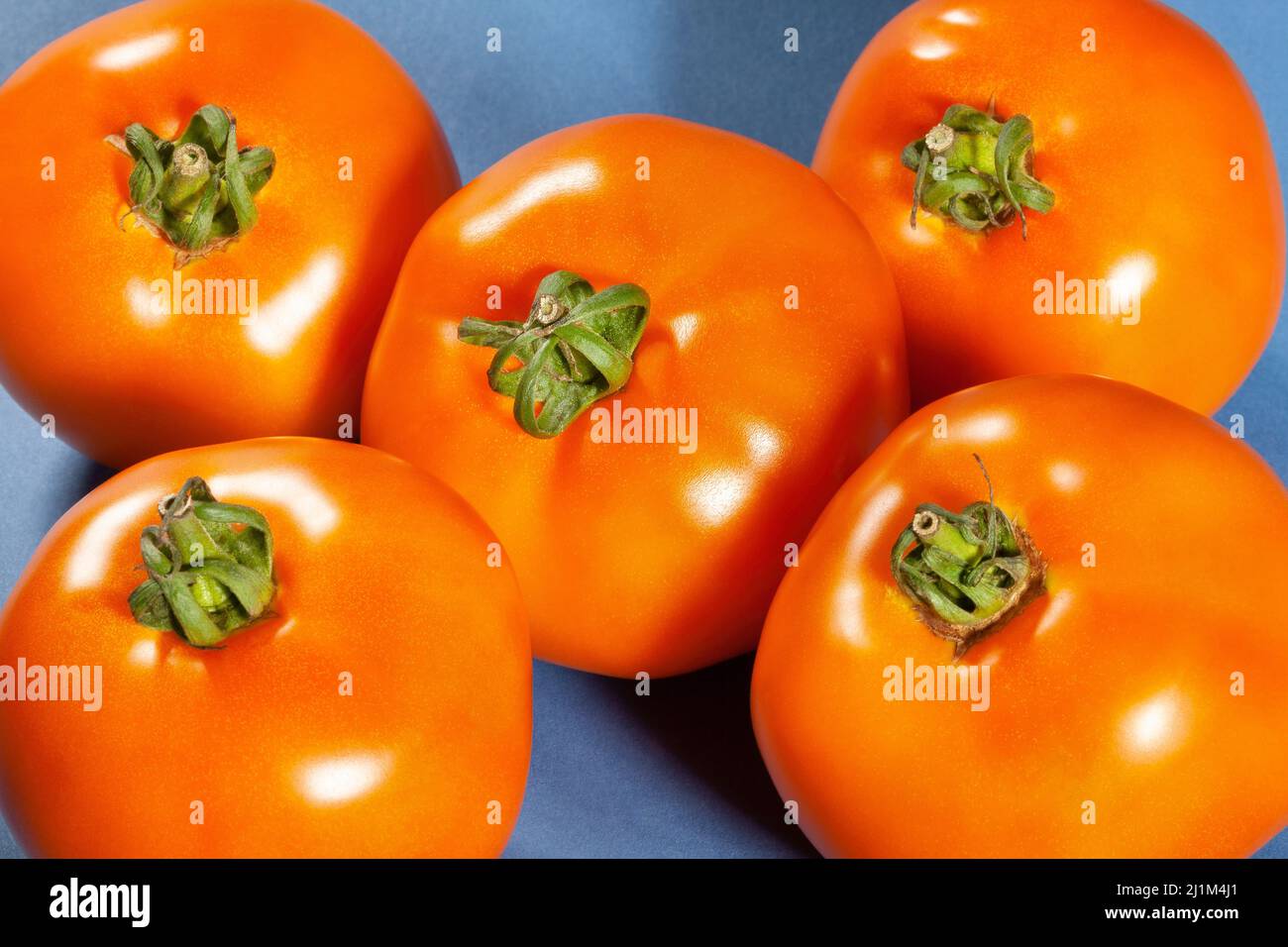 Blue tomato hi-res stock photography and images - Alamy