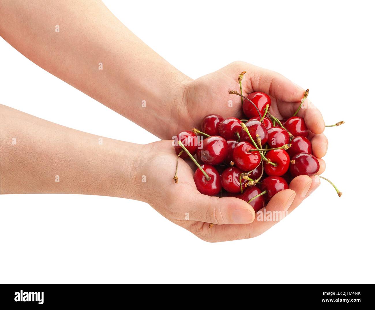 cherry in hand path isolated on white Stock Photo - Alamy