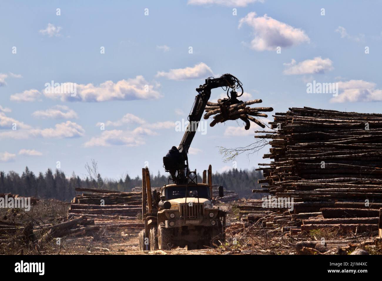 Forest industry. Operations for loading-unloading logging truck at ...