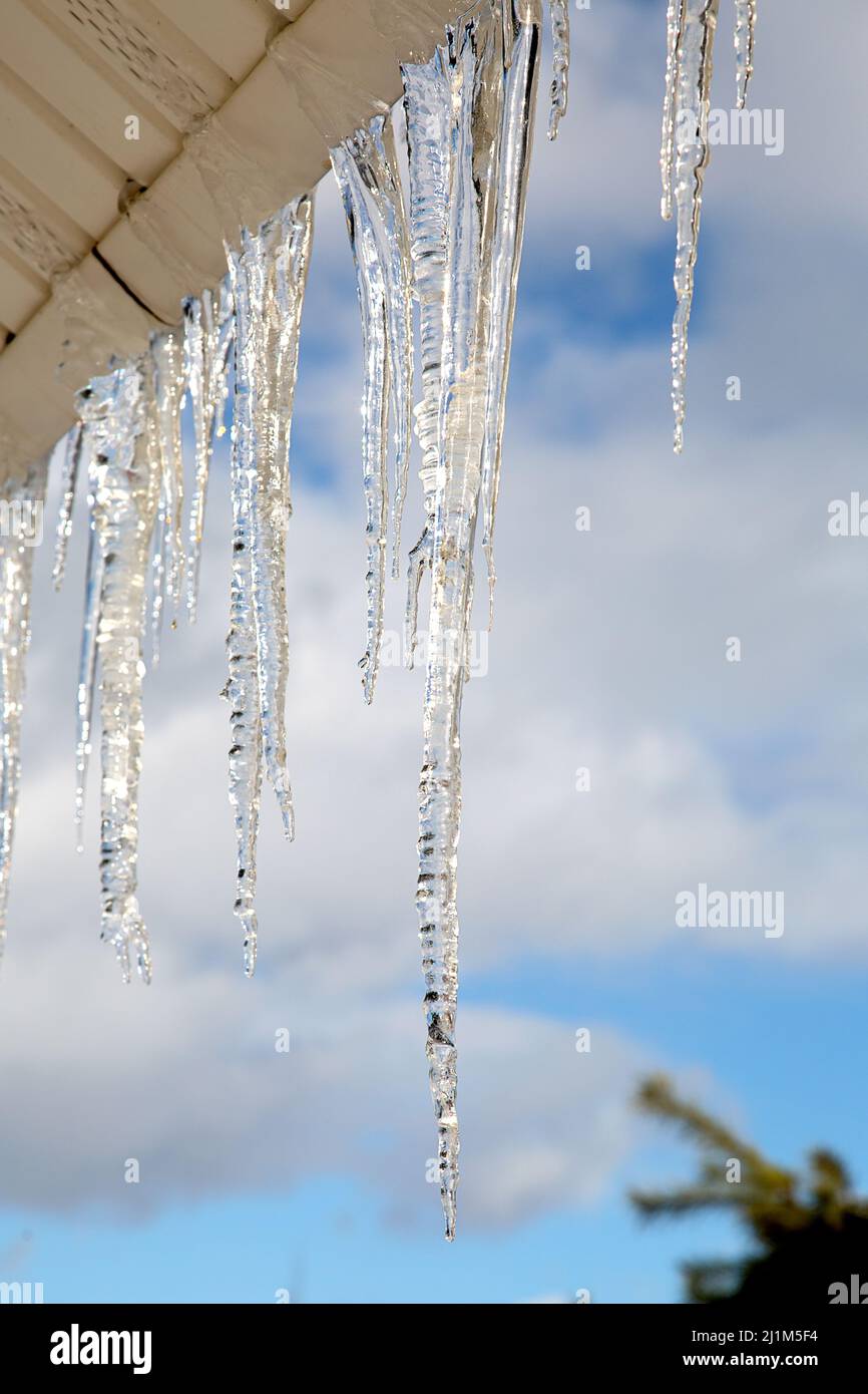 Icicles and dripping water hi-res stock photography and images - Alamy