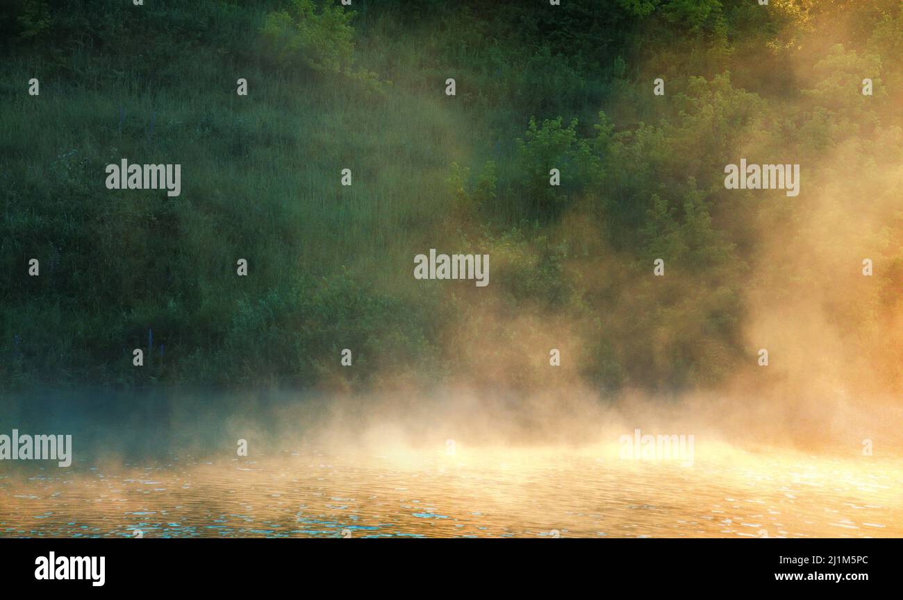 Misty sunny morning, summer landscape. Fog is born on the surface of ...
