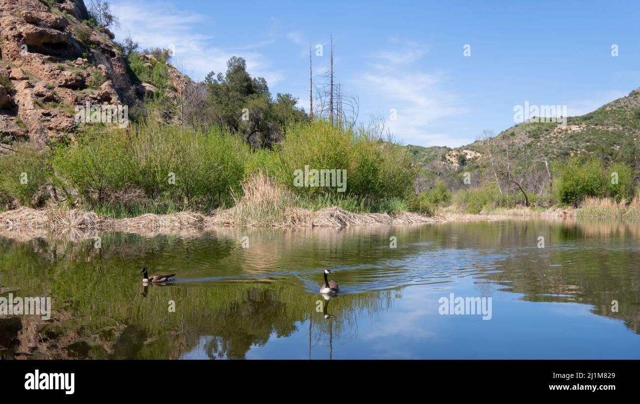 Malibu creek state park century lake hi-res stock photography and ...