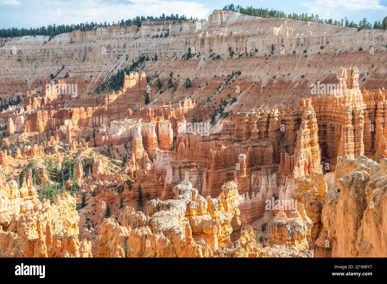 Red Rocks Hoodoos in Bryce Canyon National Park, Utah Stock Photo - Alamy