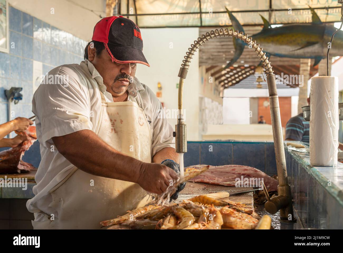 Latin butcher cleaning shrimps at the local fish market Stock Photo - Alamy