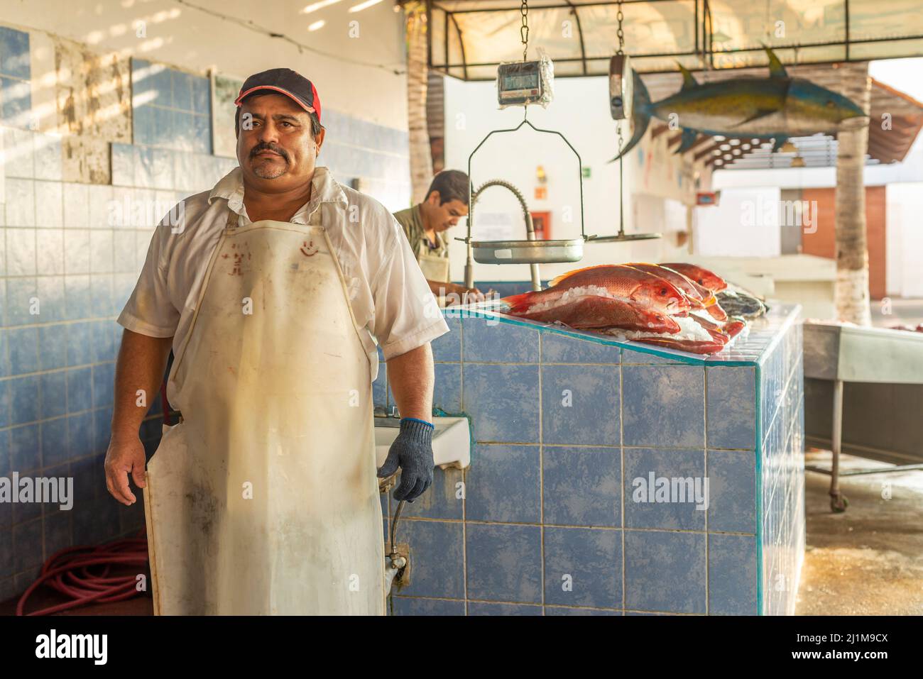 Portrait of a latin butcher at the fish market with the catch behind ...