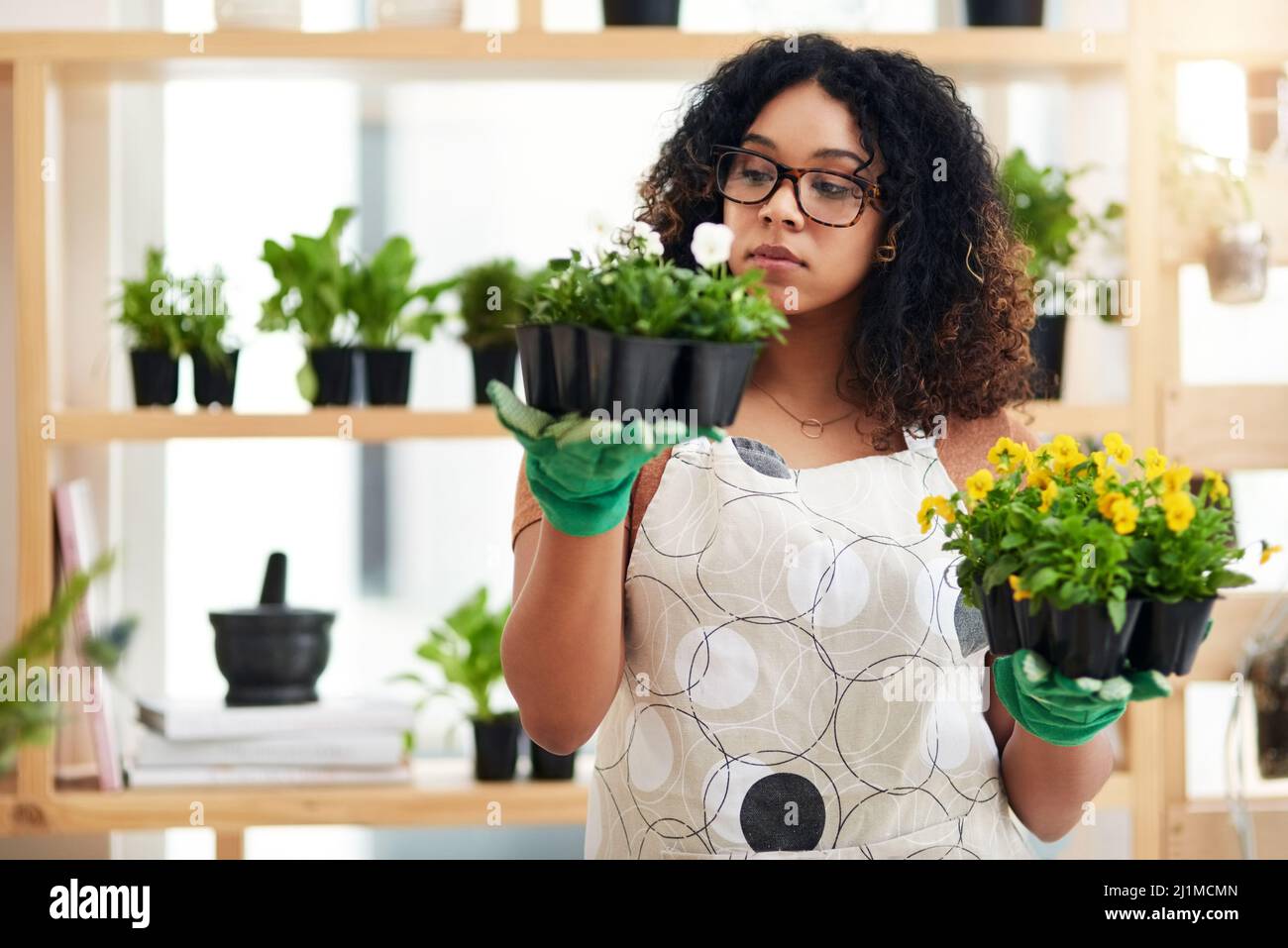 These are my two options. Cropped shot of an attractive young female ...