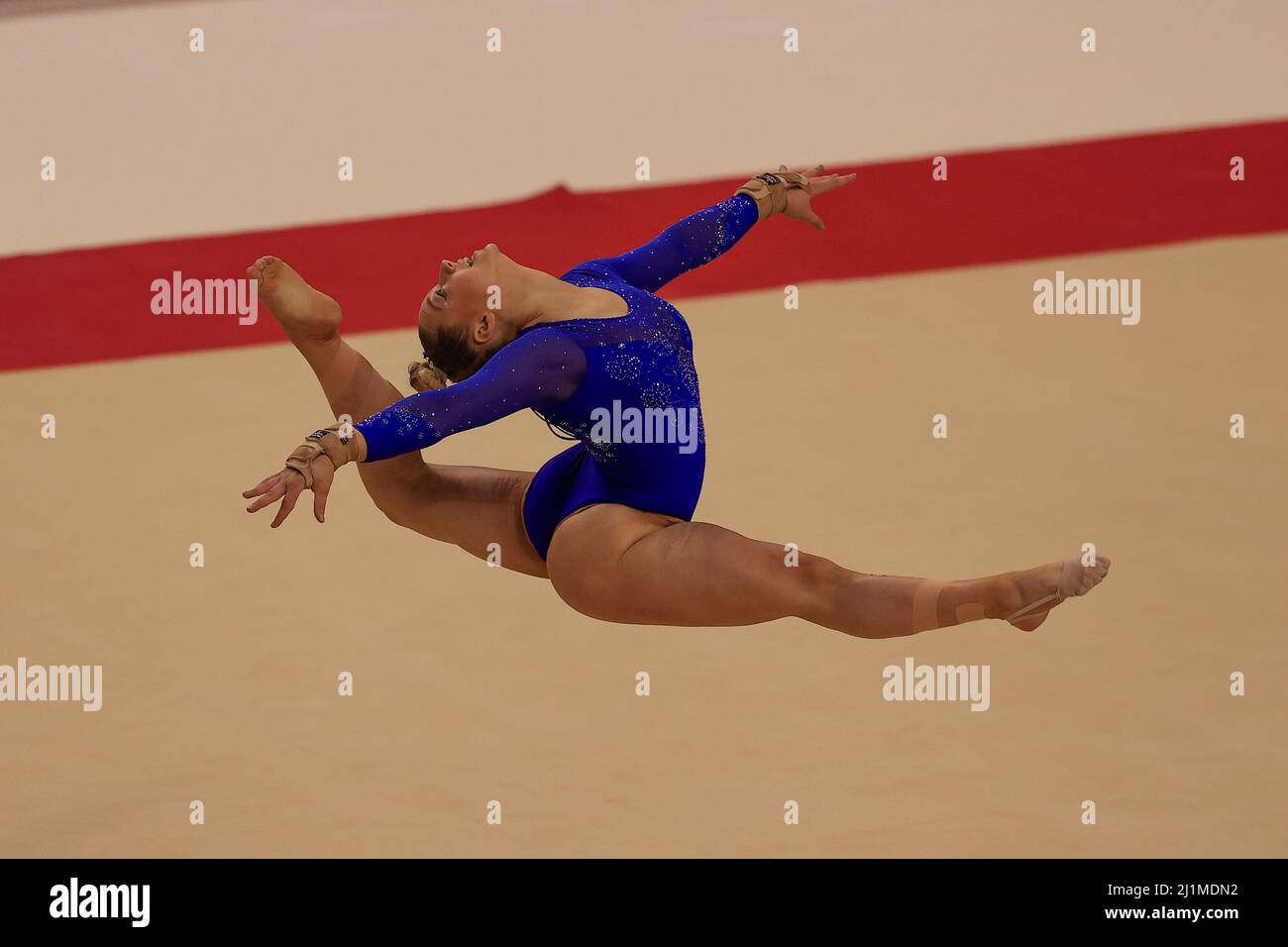 Poppy grace stickler hi-res stock photography and images - Alamy