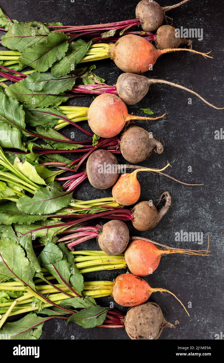 Black Beets