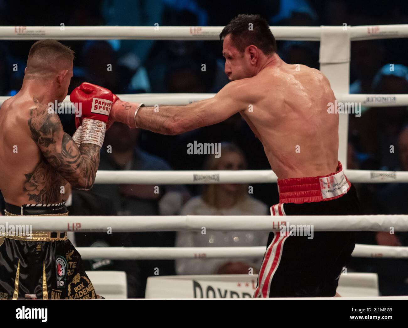 Felix sturm felix sturm vs hi-res stock photography and images - Alamy