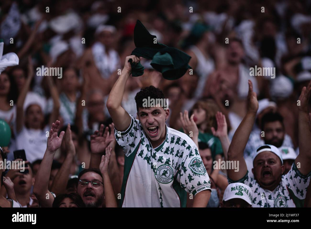 Allianz arena supporters hi-res stock photography and images - Alamy