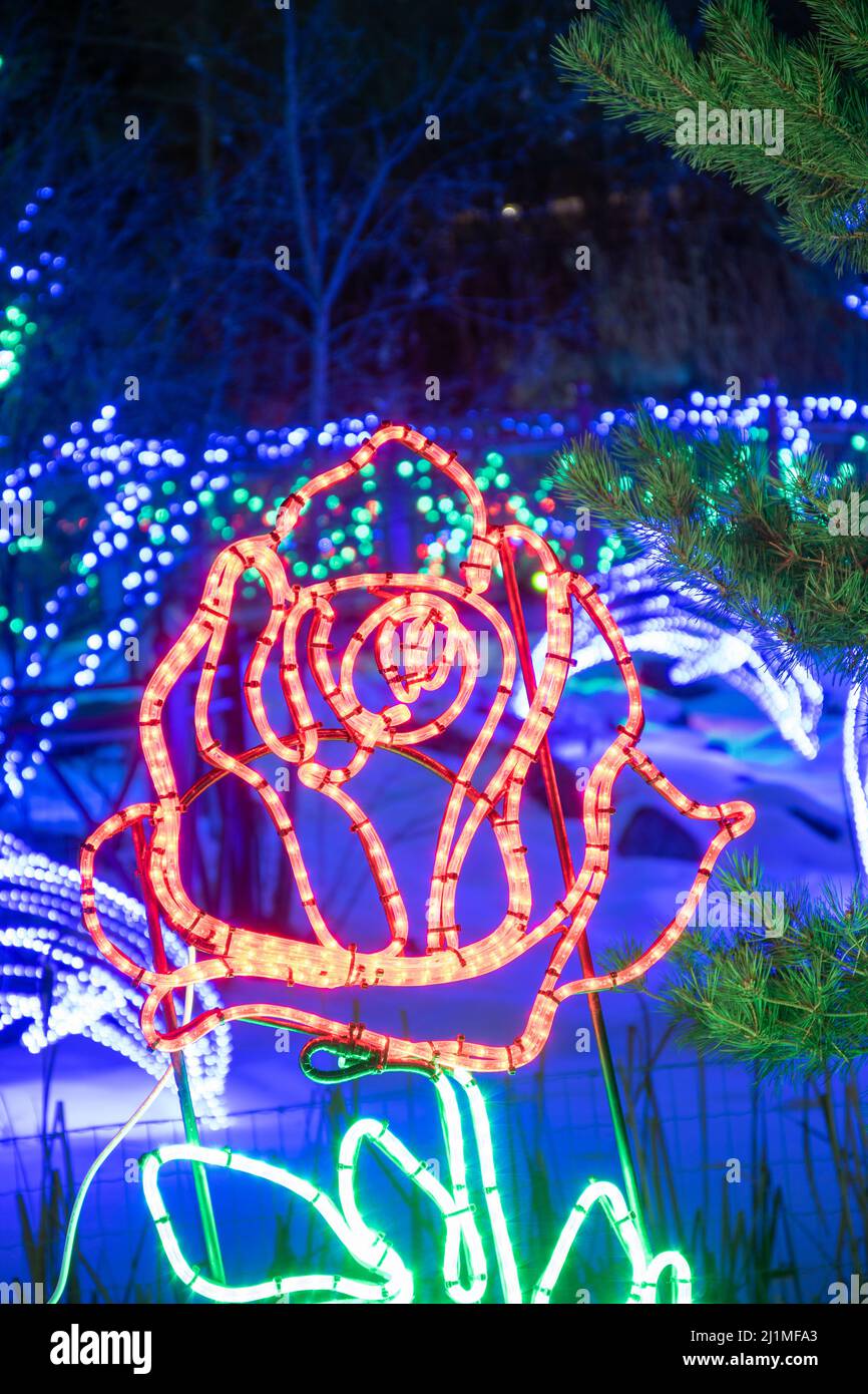 Calgary zoo lights hi-res stock photography and images - Alamy