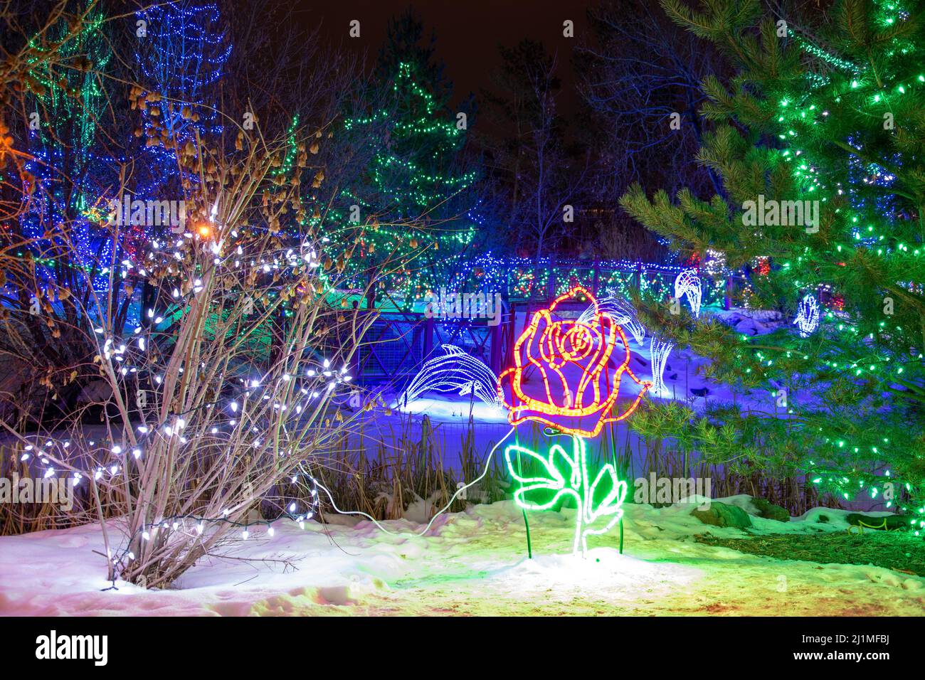 Calgary zoo lights hi-res stock photography and images - Alamy