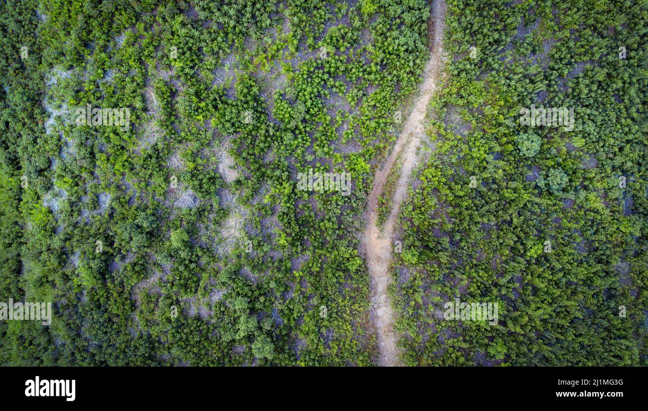 The Path Less Traveled Stock Photo - Alamy