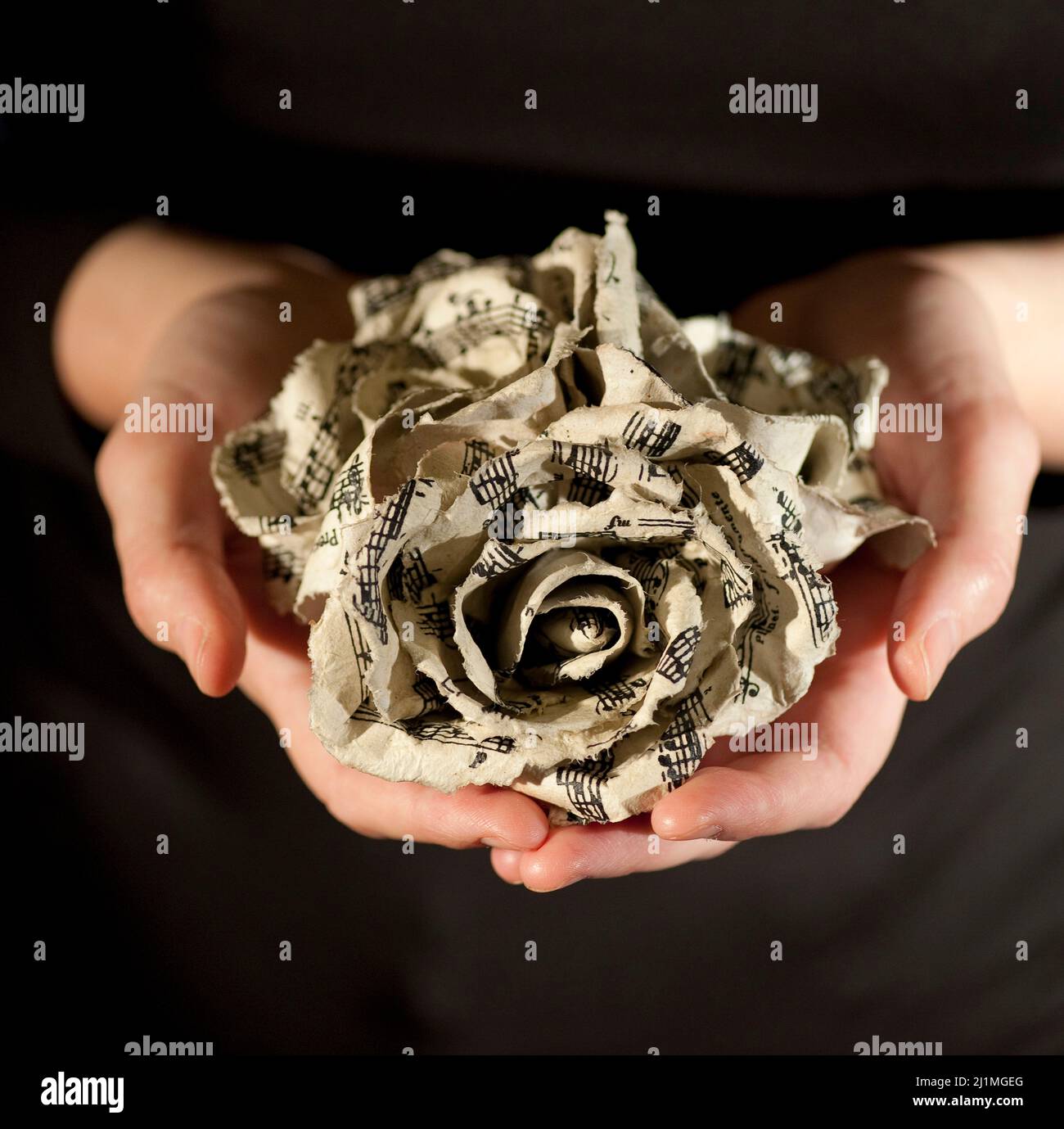 Modern paper flower hi-res stock photography and images - Alamy