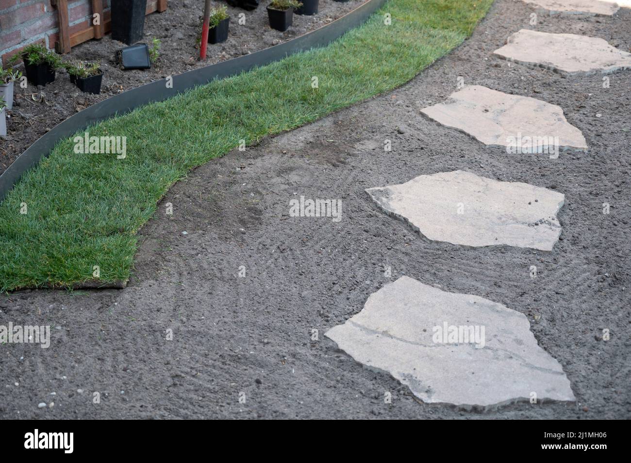 Making of natural green lawn in garden with rolls of green grass ...