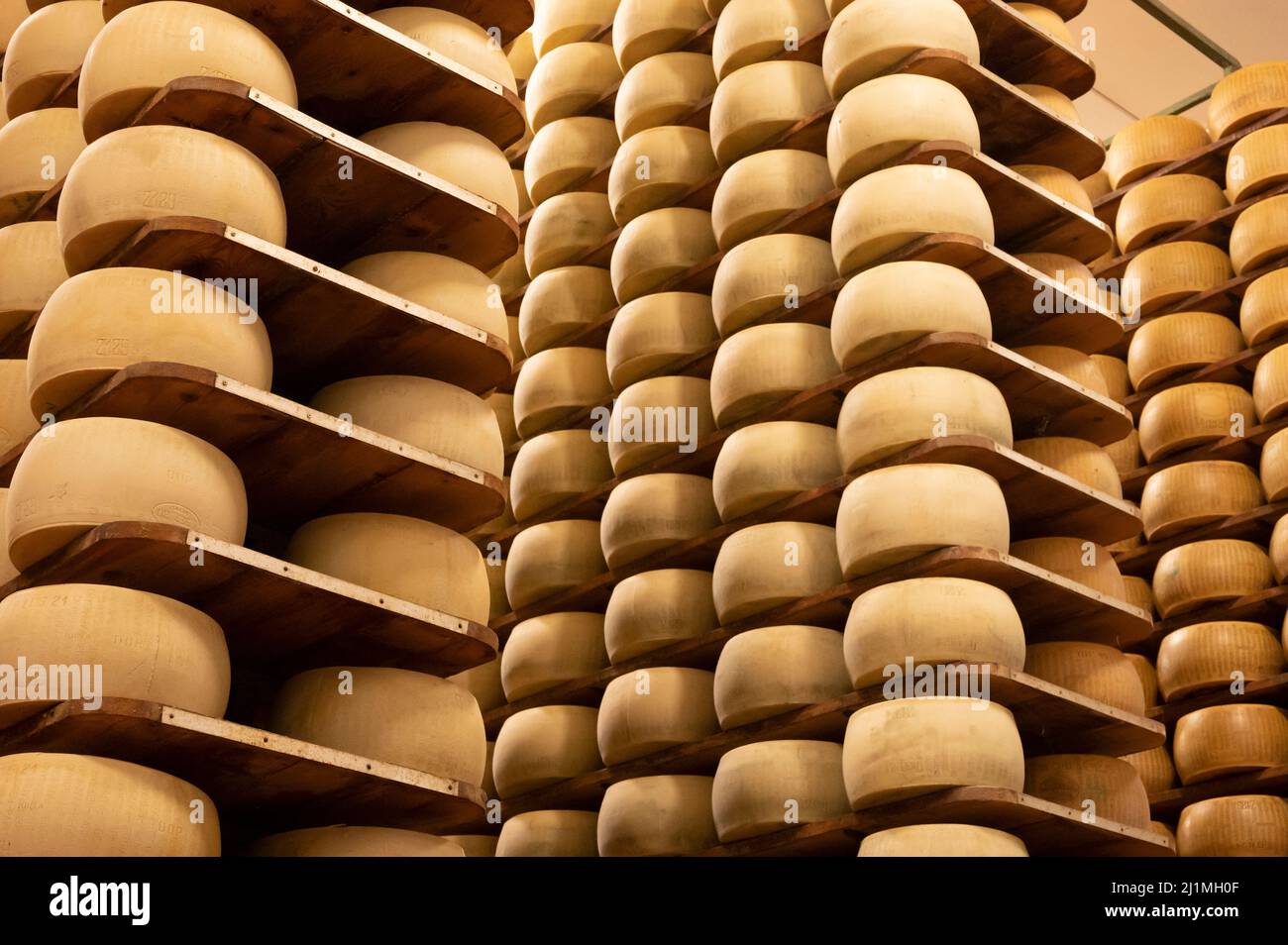 Process of making parmigiano-reggiano parmesan hard cheese on small ...