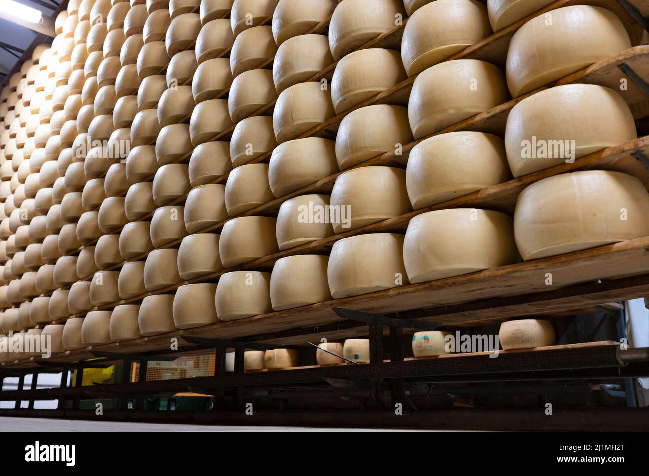 Process of making parmigiano-reggiano parmesan hard cheese on small ...