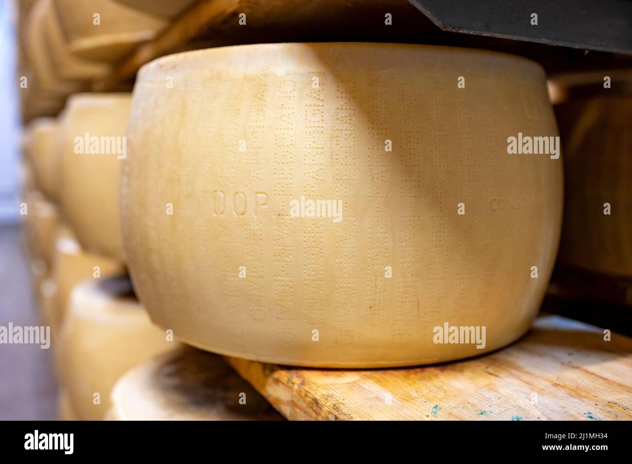 Process of making parmigiano-reggiano parmesan hard cheese on small ...