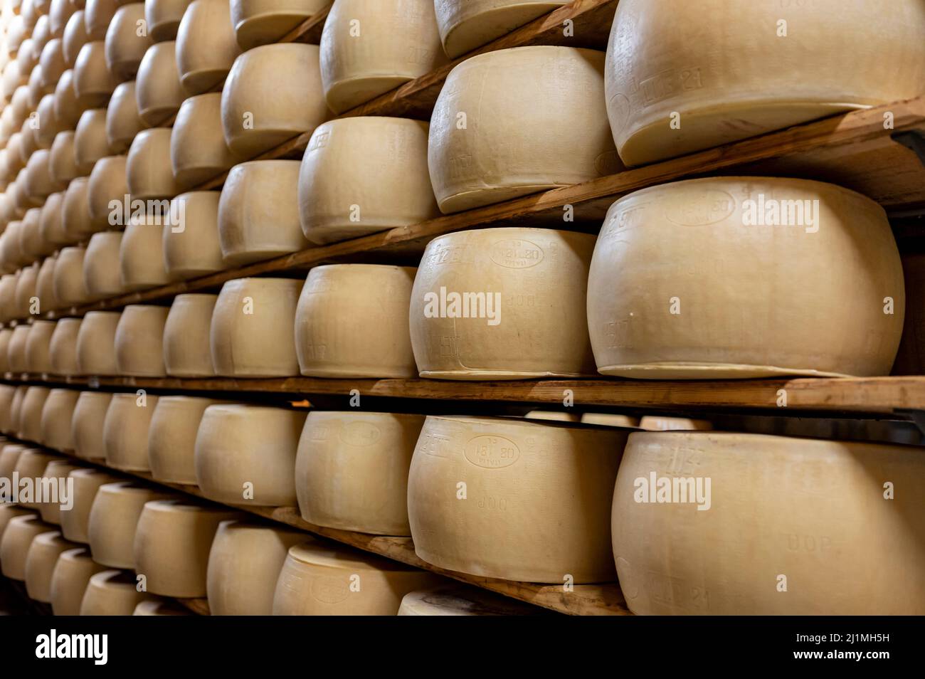 Process of making parmigiano-reggiano parmesan hard cheese on small ...