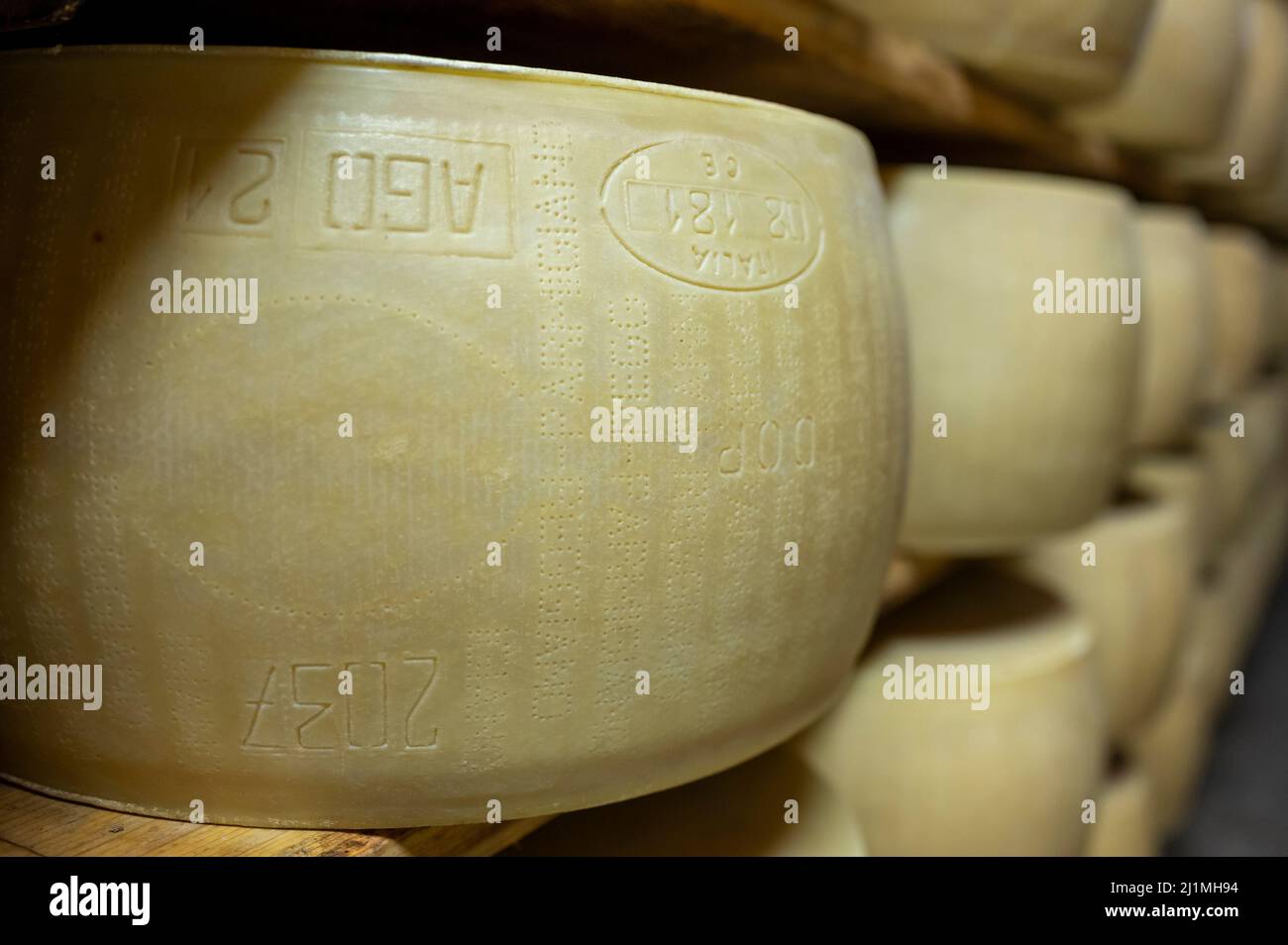 Process of making parmigiano-reggiano parmesan hard cheese on small ...