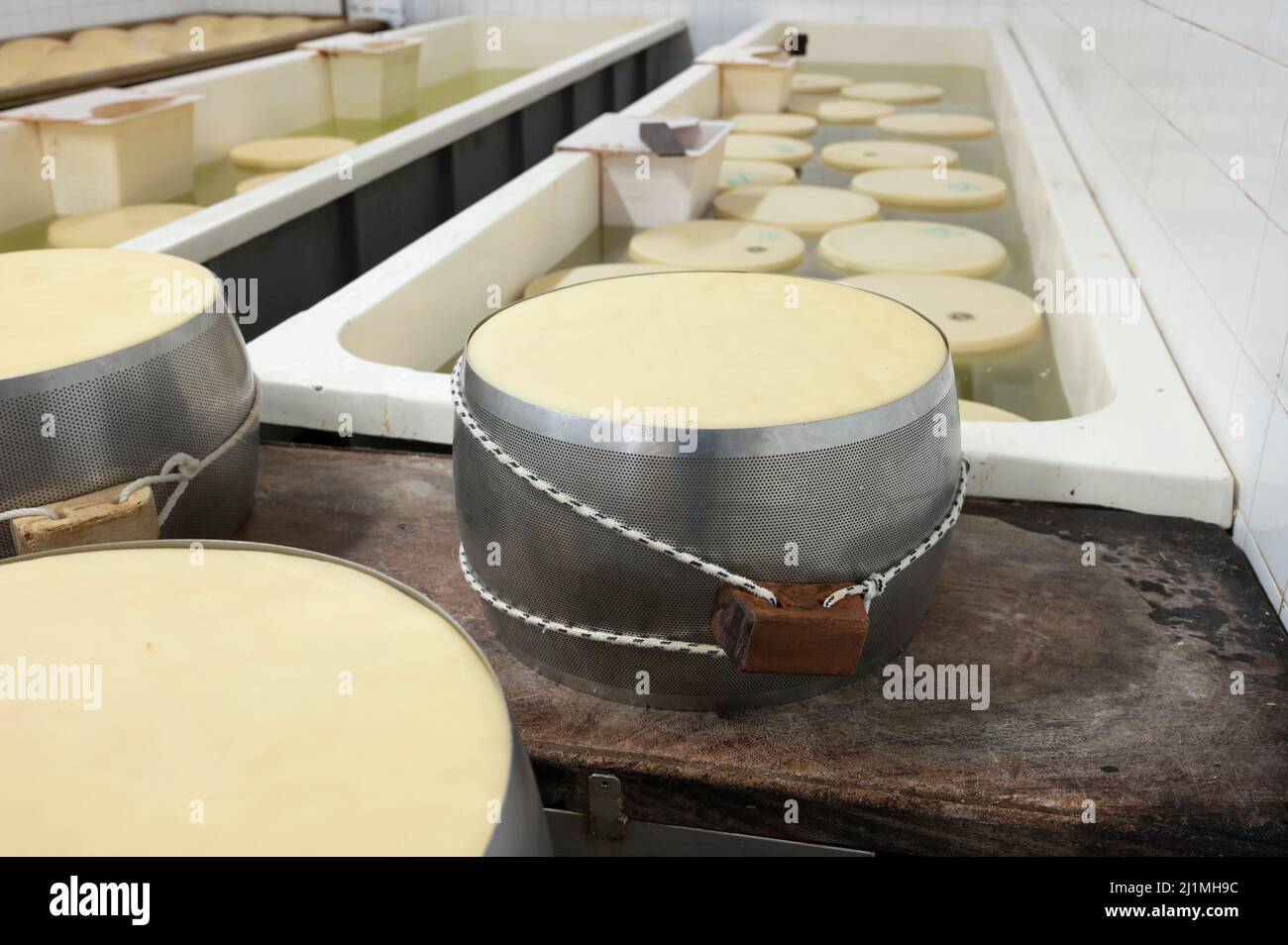 Process of making parmigiano-reggiano parmesan hard cheese on small ...
