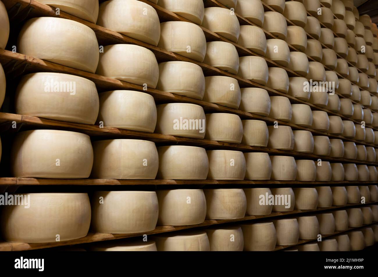 Process of making parmigiano-reggiano parmesan hard cheese on small ...