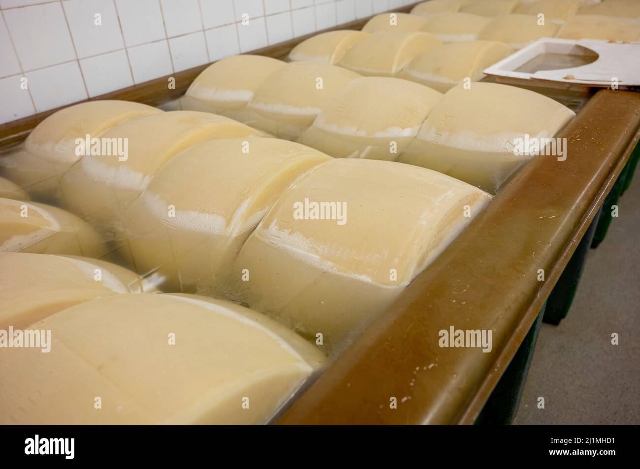 Process of making parmigiano-reggiano parmesan hard cheese on small ...
