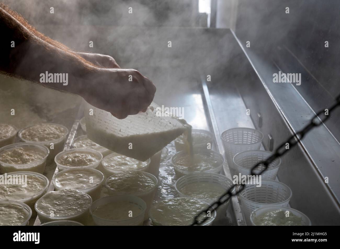Process of making fresh white soft ricotta whey cheese early morning on ...