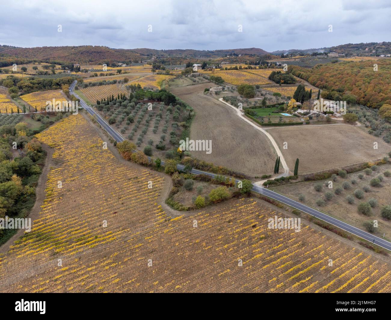 Flying drone above colorful autumn sangiovese grape vineyards near wine ...