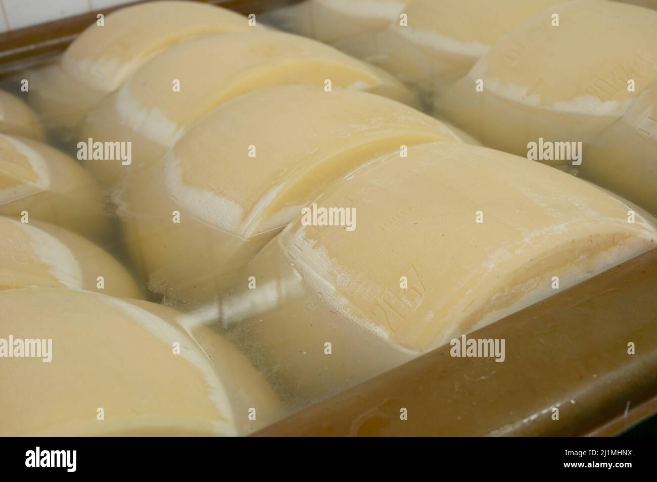 Process of making parmigiano-reggiano parmesan hard cheese on small ...