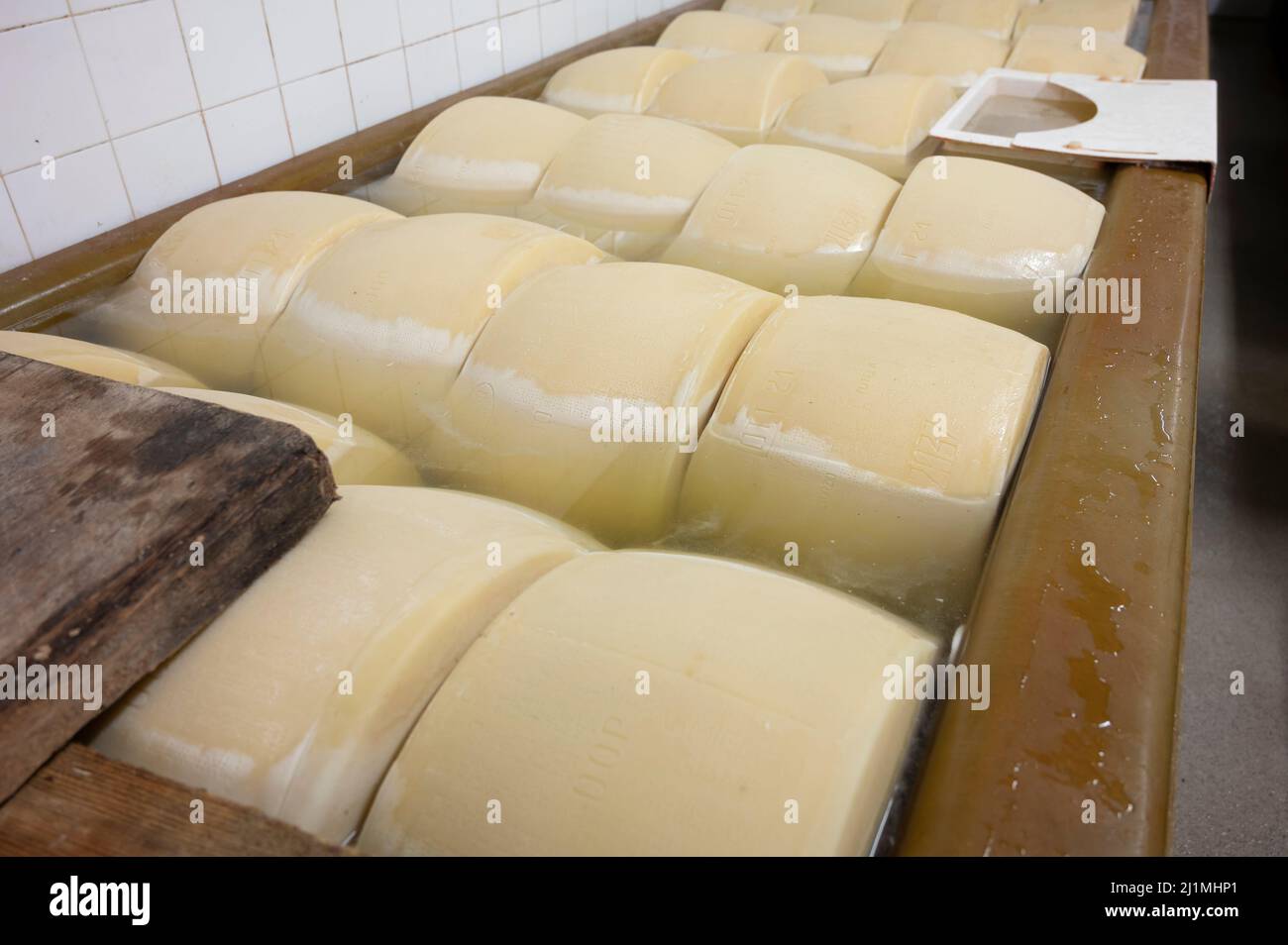 Process of making parmigiano-reggiano parmesan hard cheese on small ...